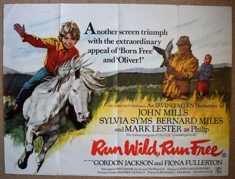 Vintage Movie Poster - Run Wild Run Free | UK Quad Poster for sale