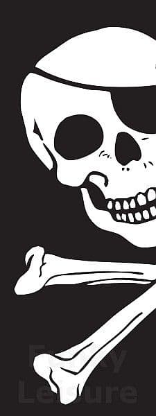 Pirate Banner Flag
