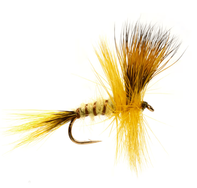 Jackie's Yellow May Fly