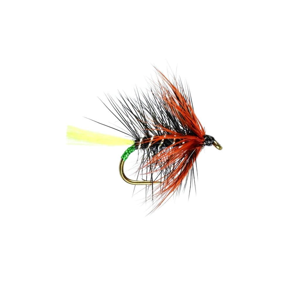 Kate McLaren Fluo Tail Hackled Wet Fly