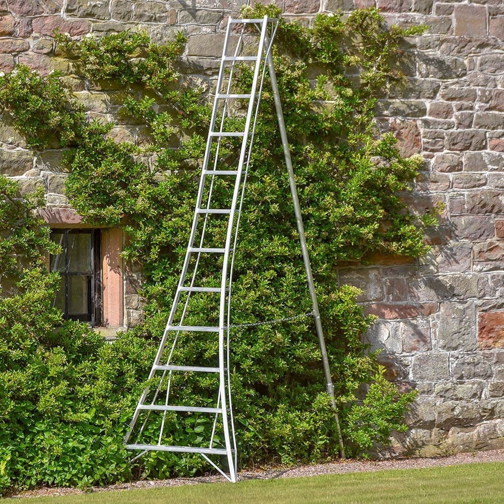 Hendon Standard Tripod Ladder
