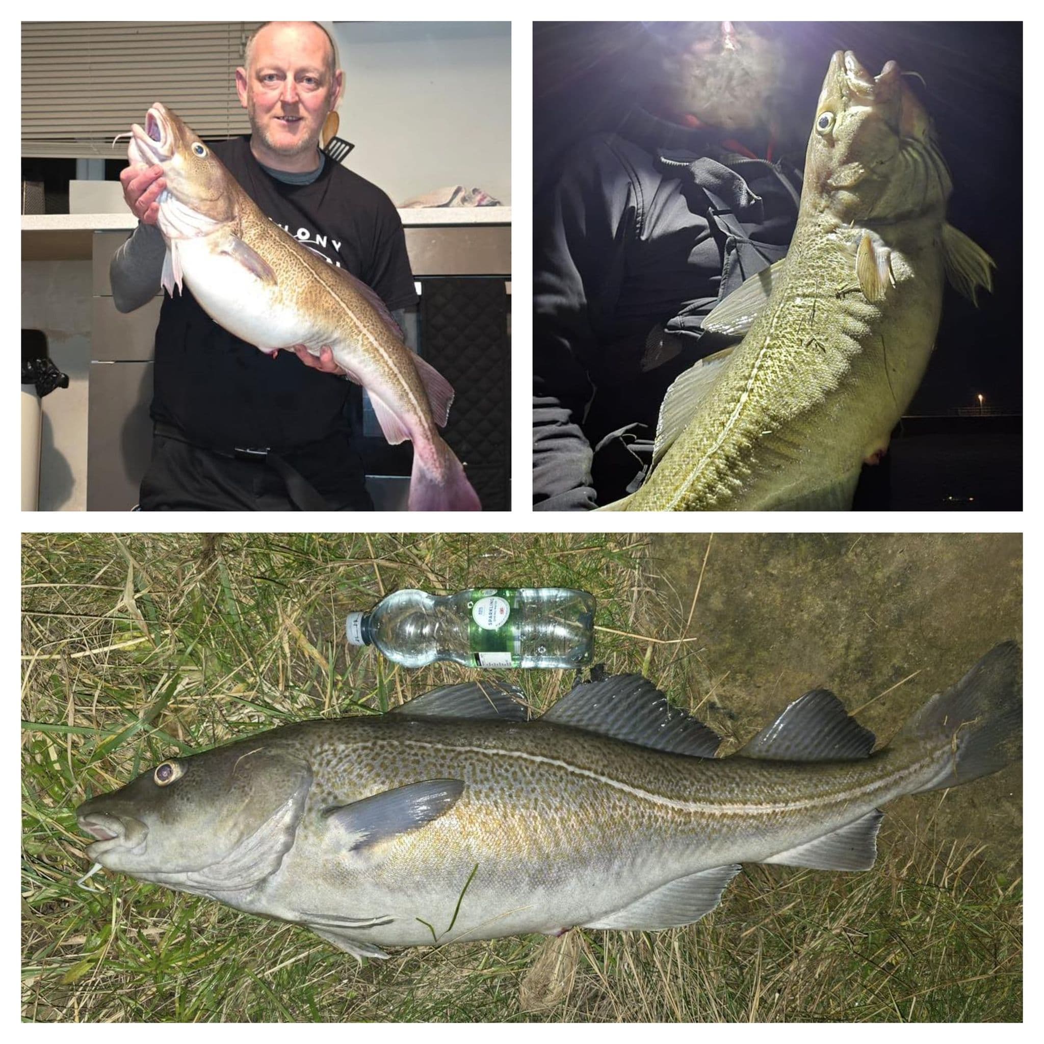January 2025 Catch Report