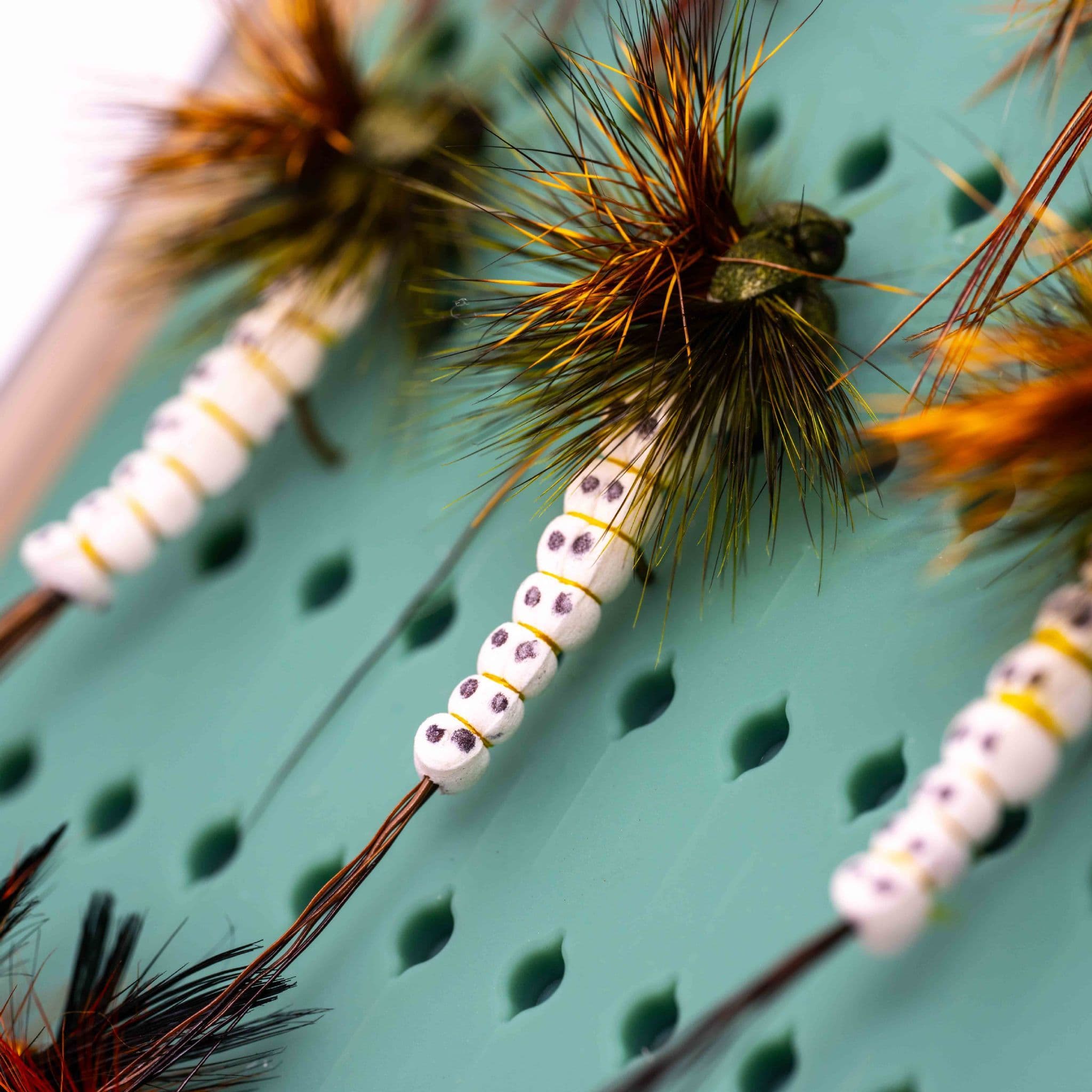 Caledonia Mayfly Trout Selection 2-5 Days Delivery