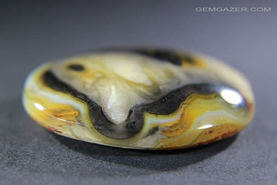 "Fish" pattern picture Agate cabochon Indonesia 28 18 carats