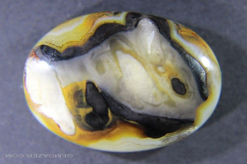 "Fish" pattern picture Agate cabochon Indonesia 28 18 carats