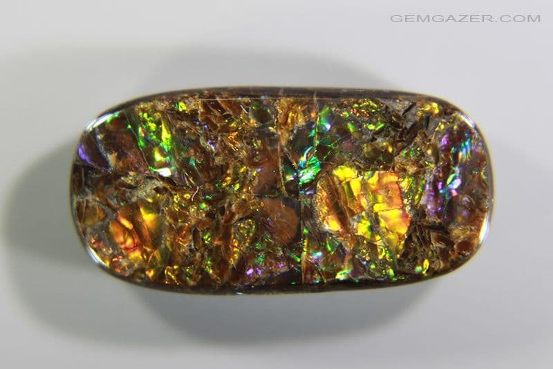 Ammolite / Ammonite fossil cabochon Canada 9 78 carats Video