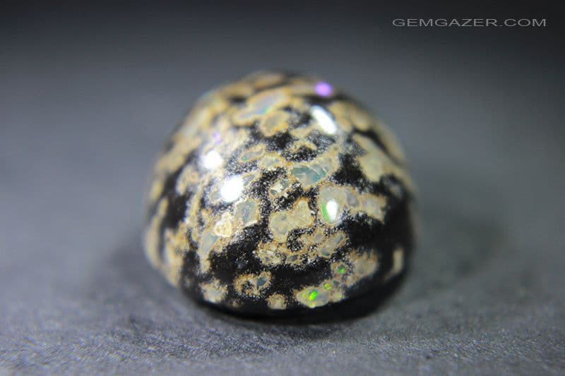 Black Leopard Opal cabochon Mexico 15 42 carats