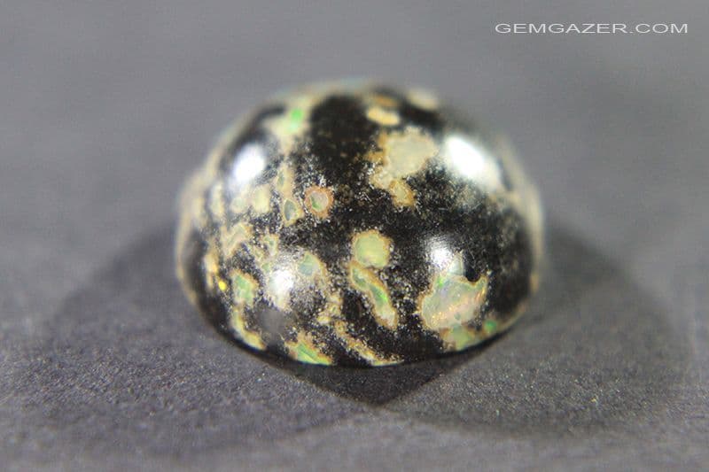Black Leopard Opal cabochon Mexico 6 20 carats