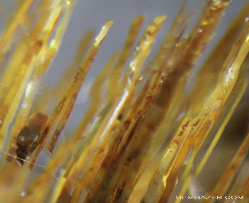 Colourless Topaz with golden yellow Limonite inclusions faceted ...