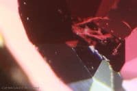 Deep red Ruby Thailand 0 61 carat