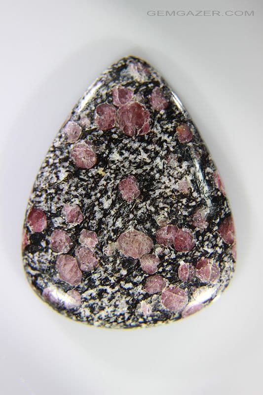 Garnet crystals in Biotite-Sillimanite schist matrix South Africa 121 ...