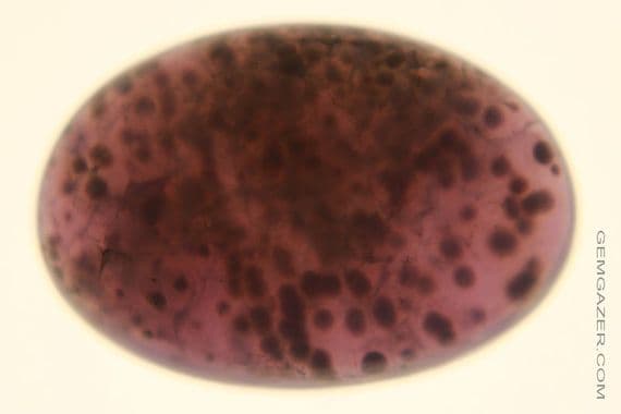 Grape-colour botryoidal Agate cabochon Java Indonesia 18 34 carats