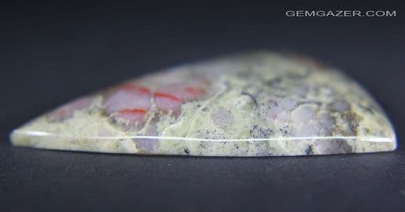 Lightening Stone Dinosaur Coprolite cabochon USA 50 65 carats