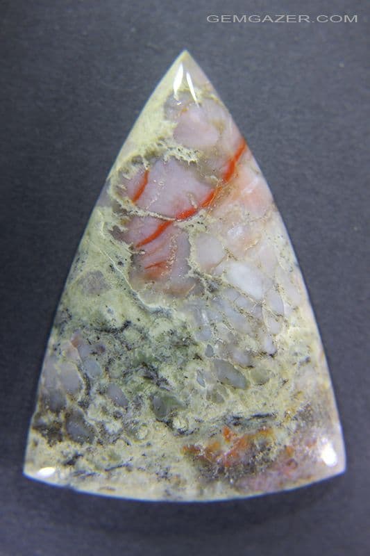 Lightening Stone Dinosaur Coprolite cabochon USA 50 65 carats