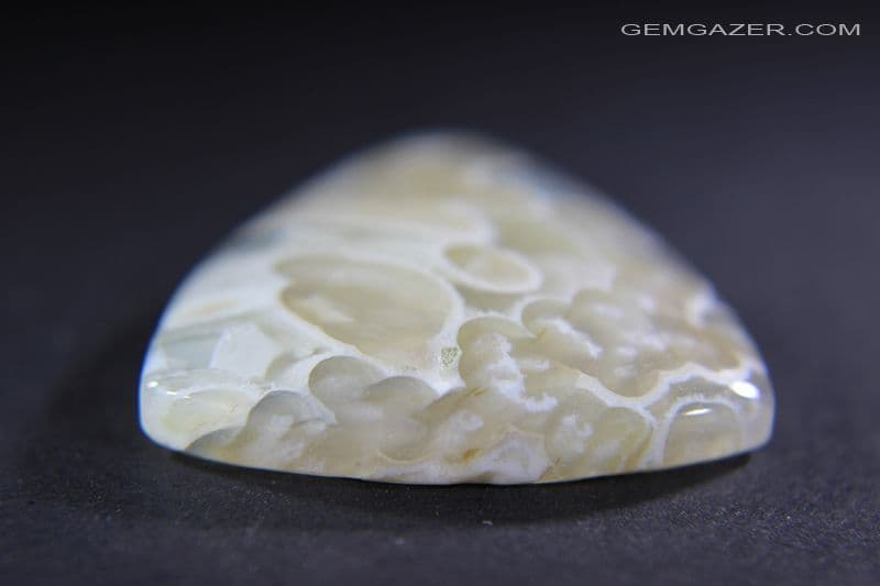Ochoco Tube Agate cabochon Oregon USA 28 05 carats