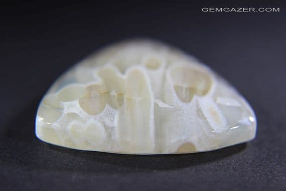 Ochoco Tube Agate cabochon Oregon USA 28 05 carats