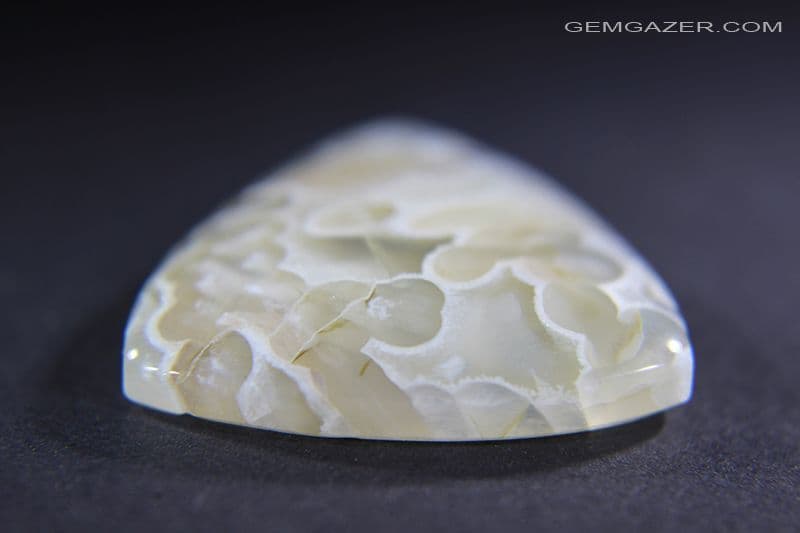 Ochoco Tube Agate cabochon Oregon USA 28 05 carats