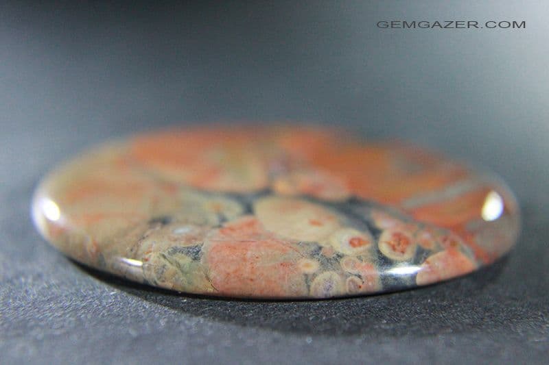 Opal Butte orbicular Jasper Oregon USA 38 59 carats