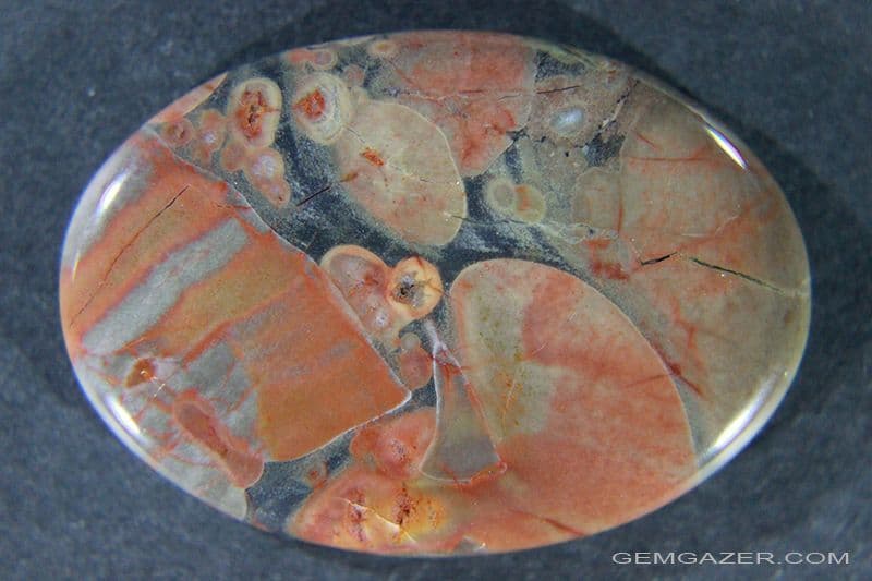 Opal Butte orbicular Jasper Oregon USA 38 59 carats