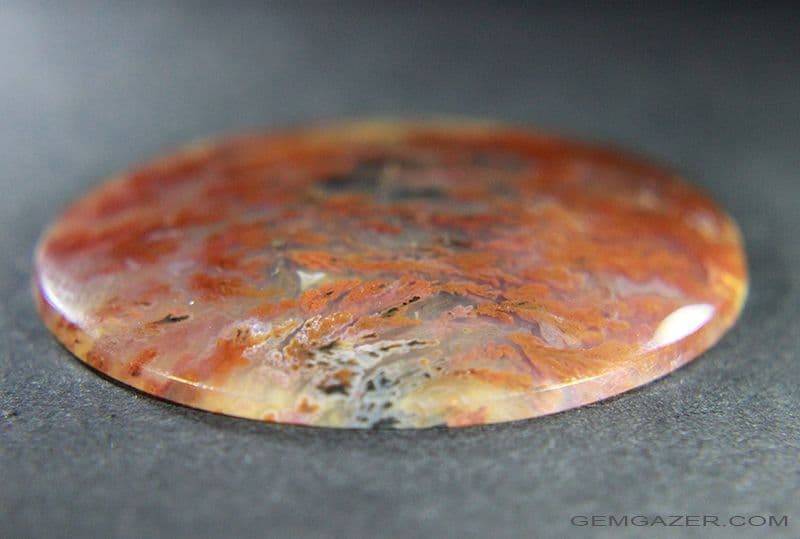 Powell Butte dendritic plume Agate Oregon USA 40 01 carats