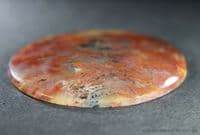 Powell Butte dendritic plume Agate Oregon USA 40 01 carats