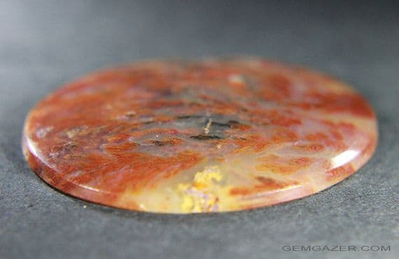 Powell Butte dendritic plume Agate Oregon USA 40 01 carats