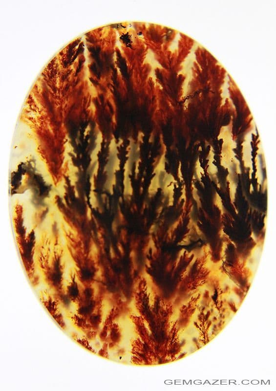 Powell Butte dendritic plume Agate Oregon USA 40 01 carats