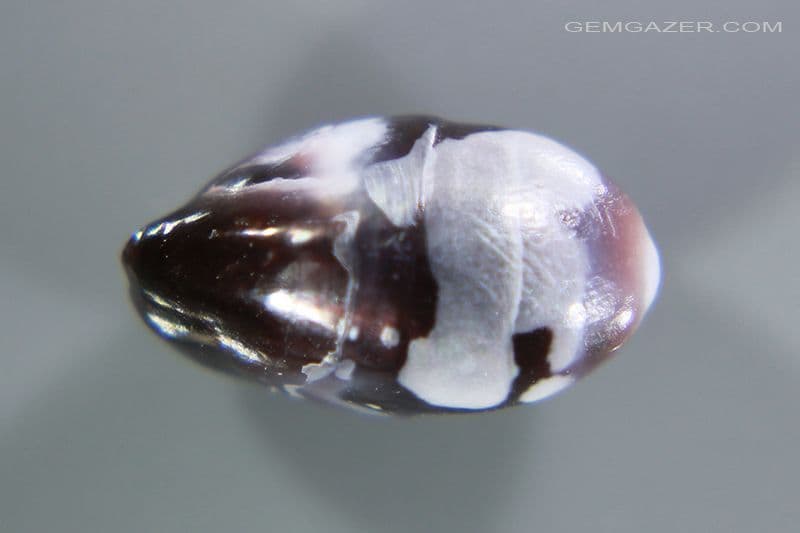 Purple Horse Mussel Pearl The Phillipines 1 72 carats