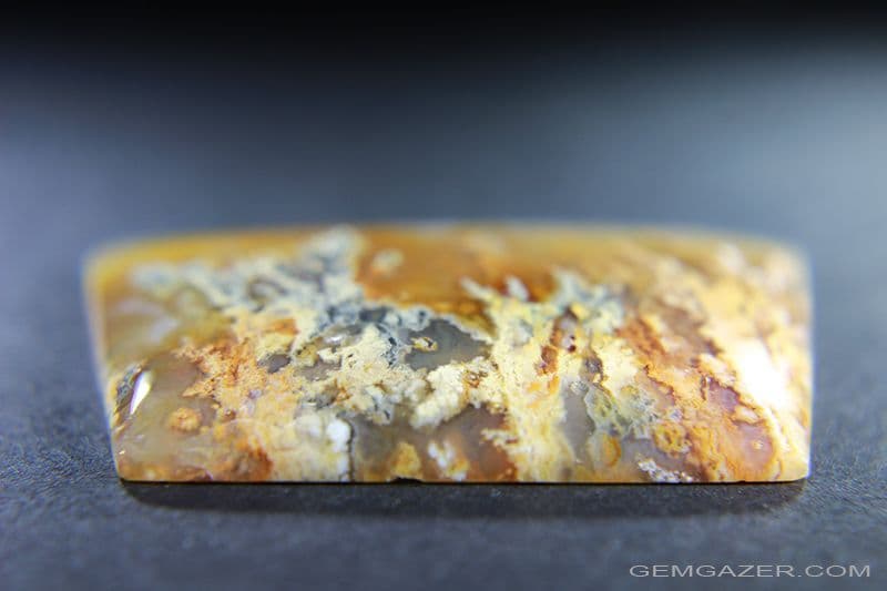 Regency Rose plume agate Oregon USA 83 46 carats