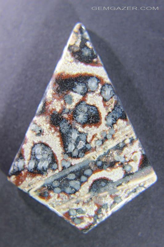 Viper-Skin Jasper cabochon Australia 42 23 carats