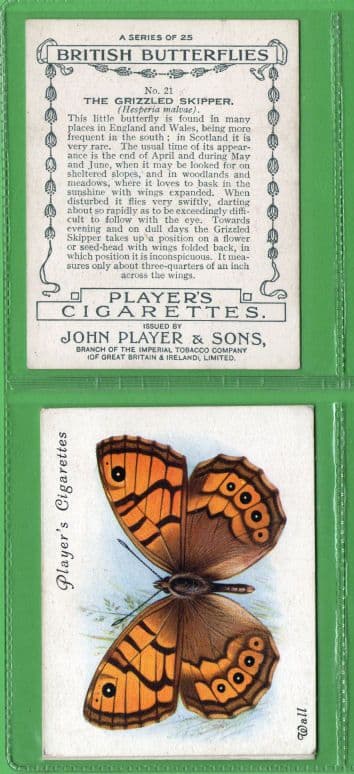 collectable Tobacco cards cigarette cards Butterflies 1934 set