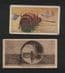 OLD CHINA cigarette cards tobacco insert 536