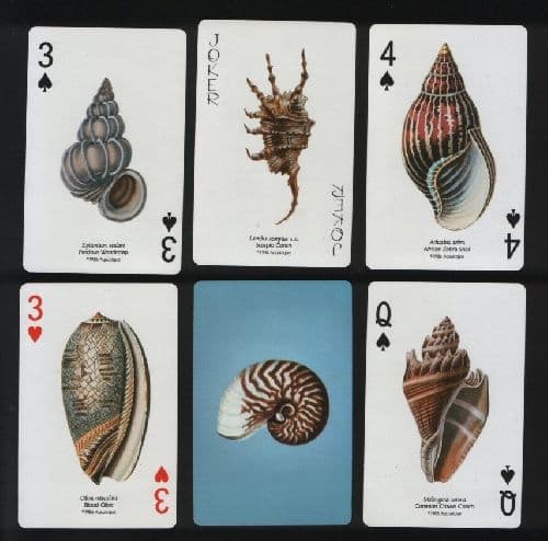 Playing cards Non-standard Aquatique sea-shells