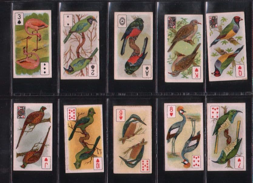 Tobacco cigarette cards Four Aces Birds 1924 playing card insert set