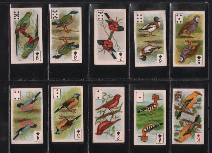 Tobacco cigarette cards Four Aces Birds 1924 playing card insert set
