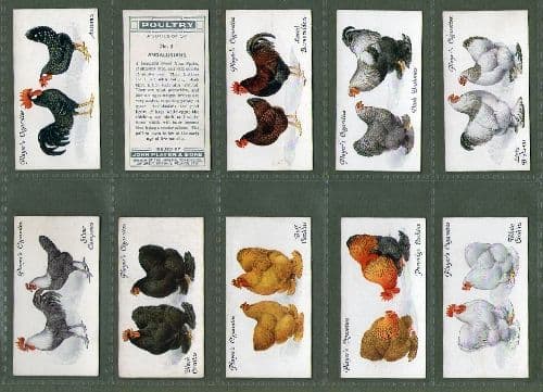 Tobacco cigarette cards Poultry Chickens rare breeds