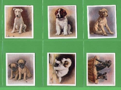 Tobacco Cigarette cards set Dogs - Our Puppies 1936