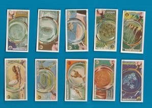 TRADE cards set Common Objects Magnified 1925