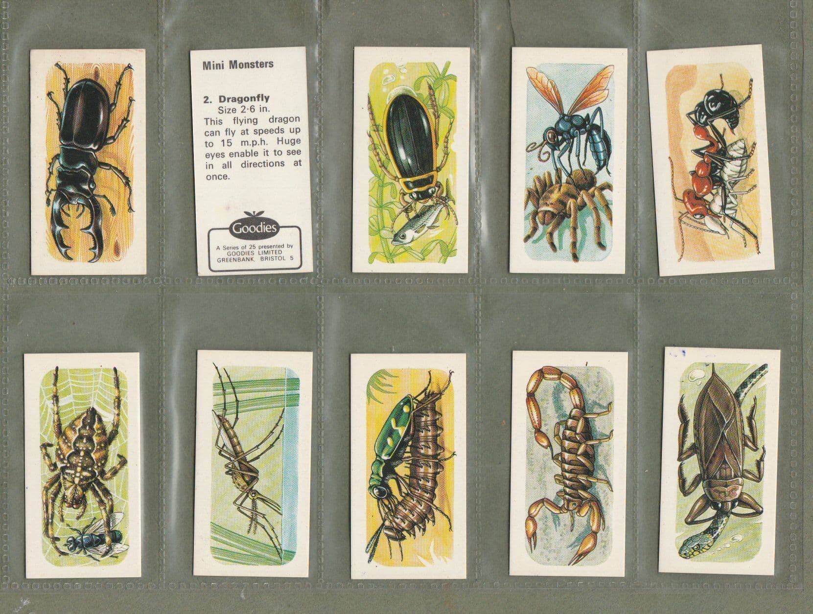 TRADE cards set Mini-Monsters Spiders warps caterpillars beetles