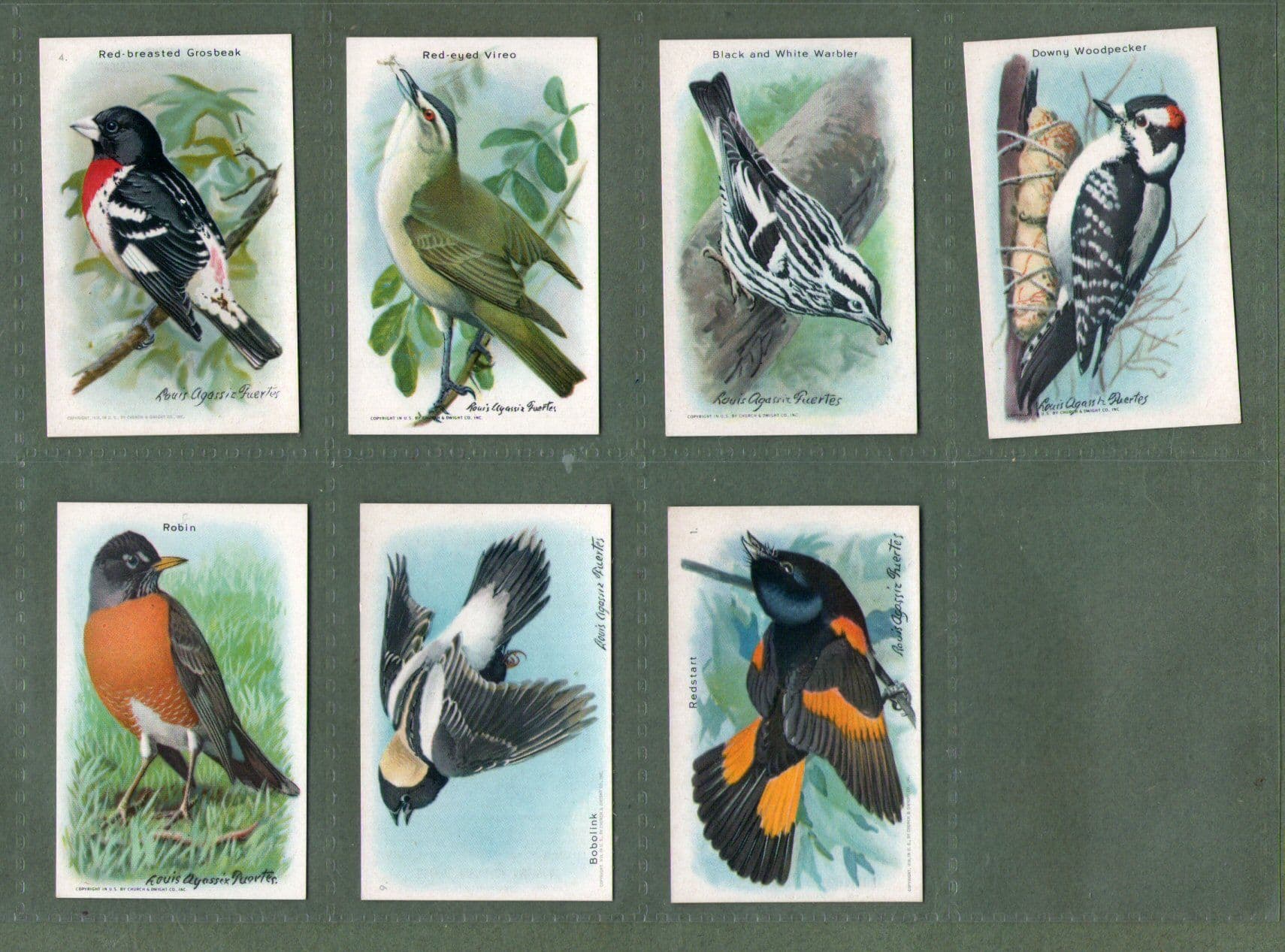 Trade / Cigarette cards set Useful Birds of America 1926 Church-Dwight