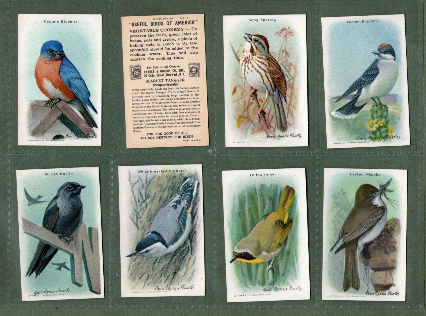 Trade / Cigarette cards set Useful Birds of America 1926 Church-Dwight
