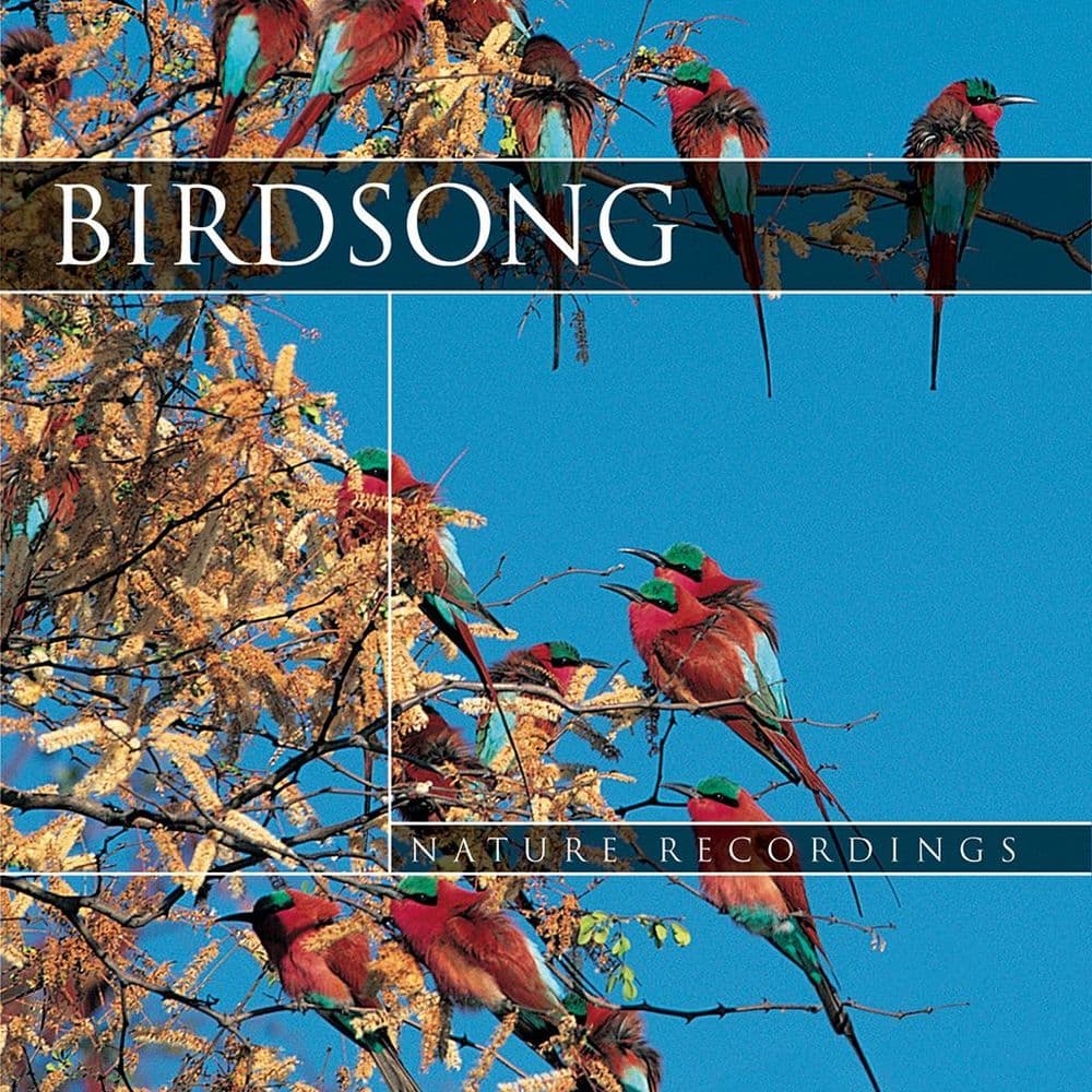 Bird Song Nature Sounds CD