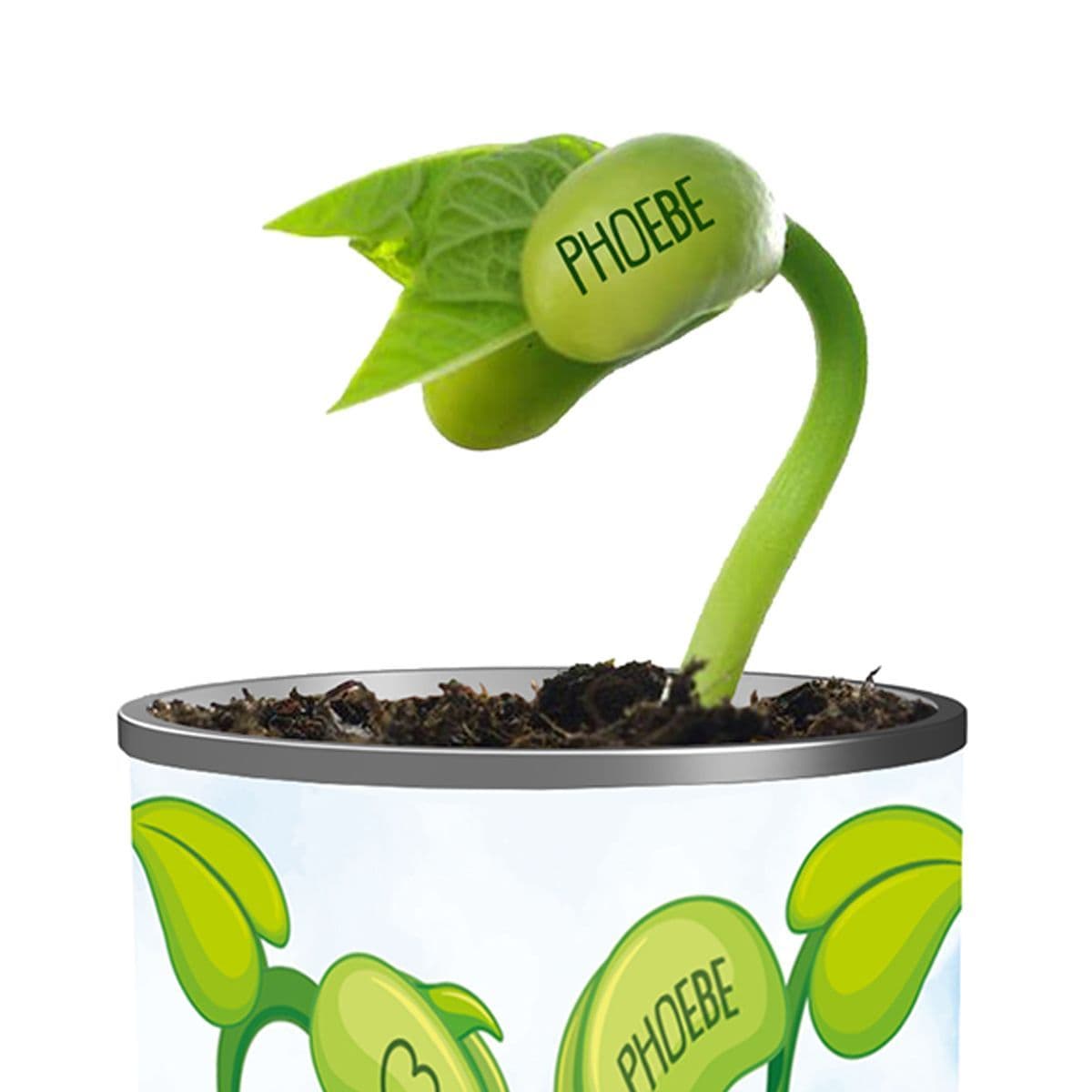 Phoebe Grow Your Own Name