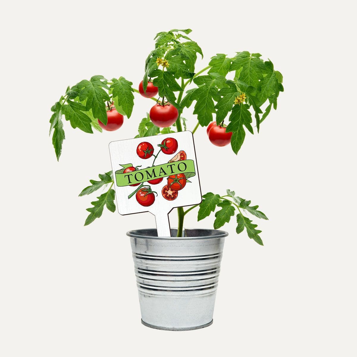 Plant Smiles Grow Love Floral Planter Sign