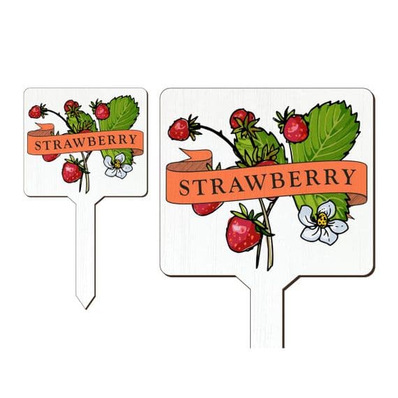 Strawberry White Garden Planter Sign