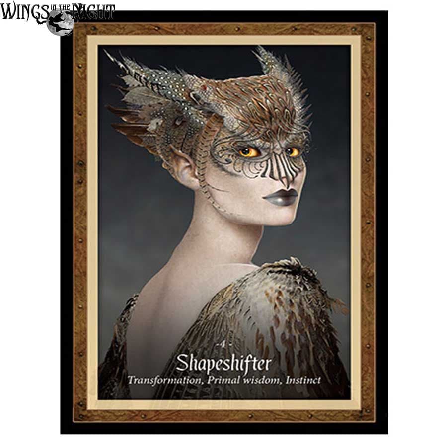 Faery Forest Tarot Oracle Card Deck by Lucy Cavendish