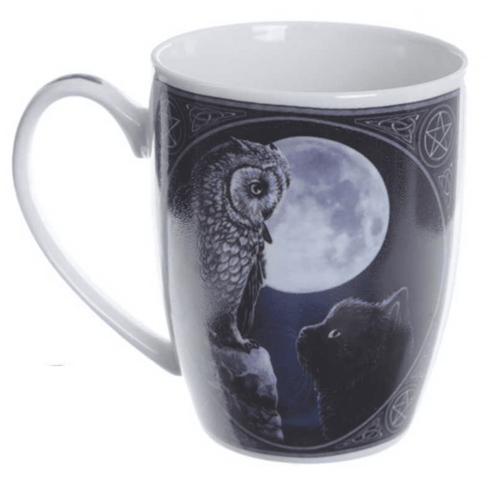 LISA PARKER Purrfect Wisdom Owl and Cat Mug