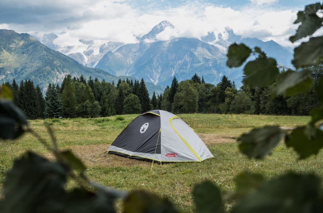 Coleman Darwin 2 Dome Tent 2025 (2176903) - Grasshopper Leisure