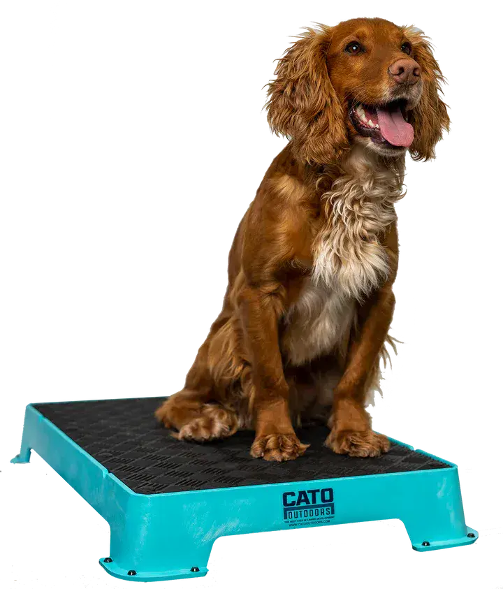 Cato Board Dog Training Platform.