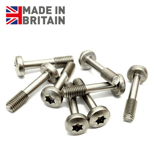 M6 x 30mm Captive Torx Pan Head Screws - A2 Stainless Steel